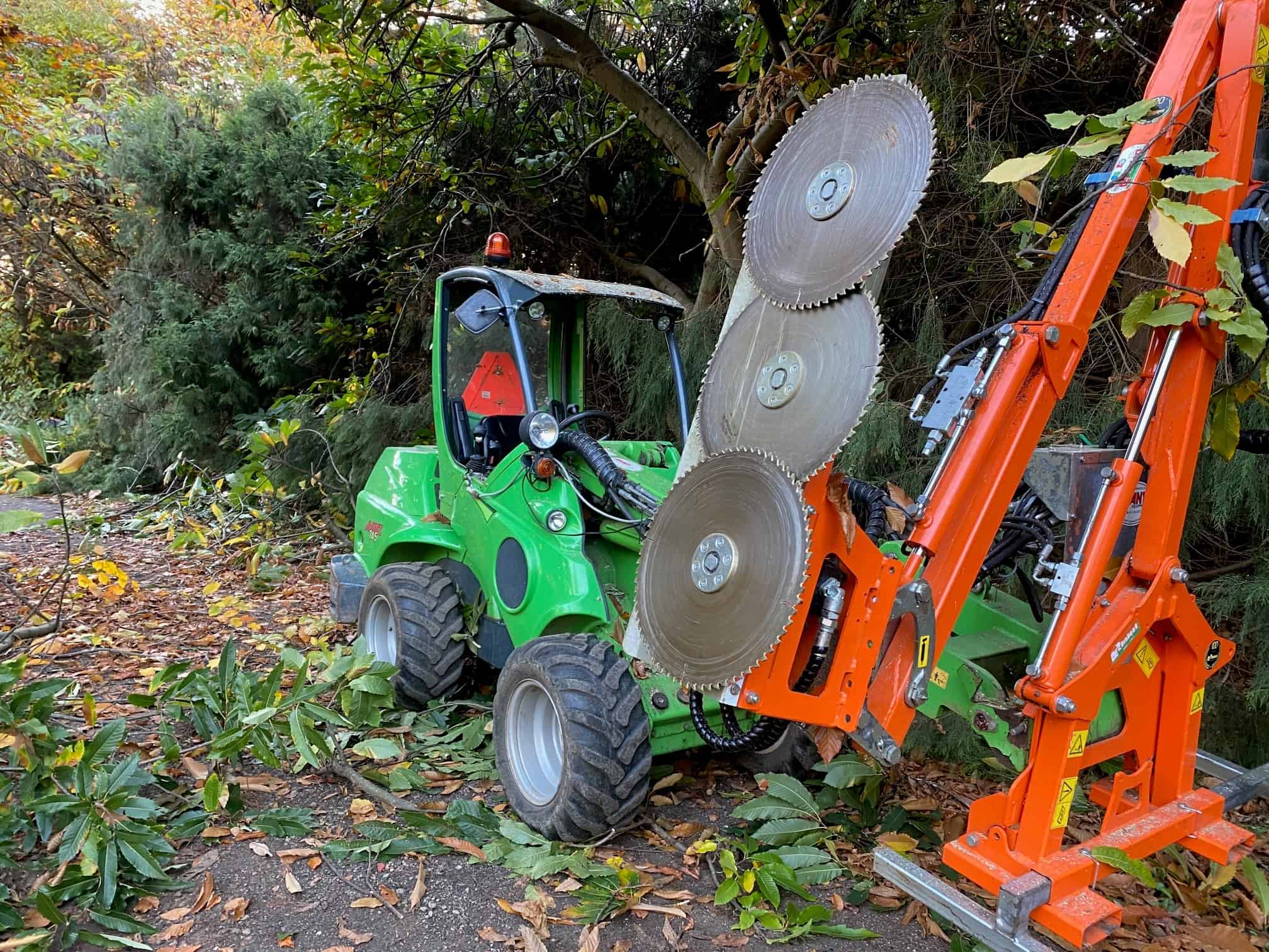 Avant Loader Enhances Efficiency on Victorian Truffle Farm - Avant ...